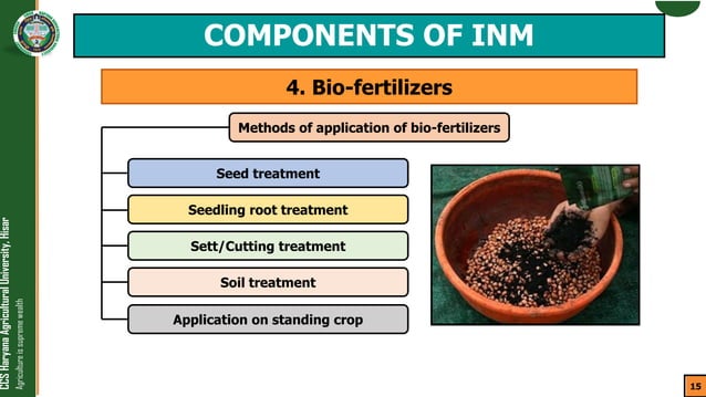 Effect of Integrated Nutrient Management on Growth and Yield of Solanaceous Fruit Vegetables.pdf ...