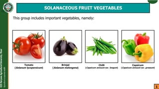 Effect of Integrated Nutrient Management on Growth and Yield of Solanaceous Fruit Vegetables.pdf