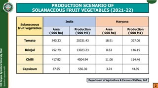 Effect of Integrated Nutrient Management on Growth and Yield of Solanaceous Fruit Vegetables.pdf