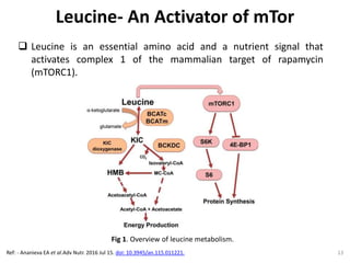 Effect of leucine in poor ovarian reserve patients | PPTX