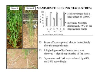 Effect of moisture stress timing and nitrogen on growth and yield of ...