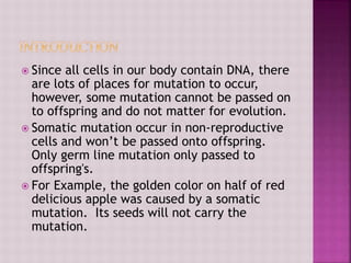effectofmutations-210524971249.pdf