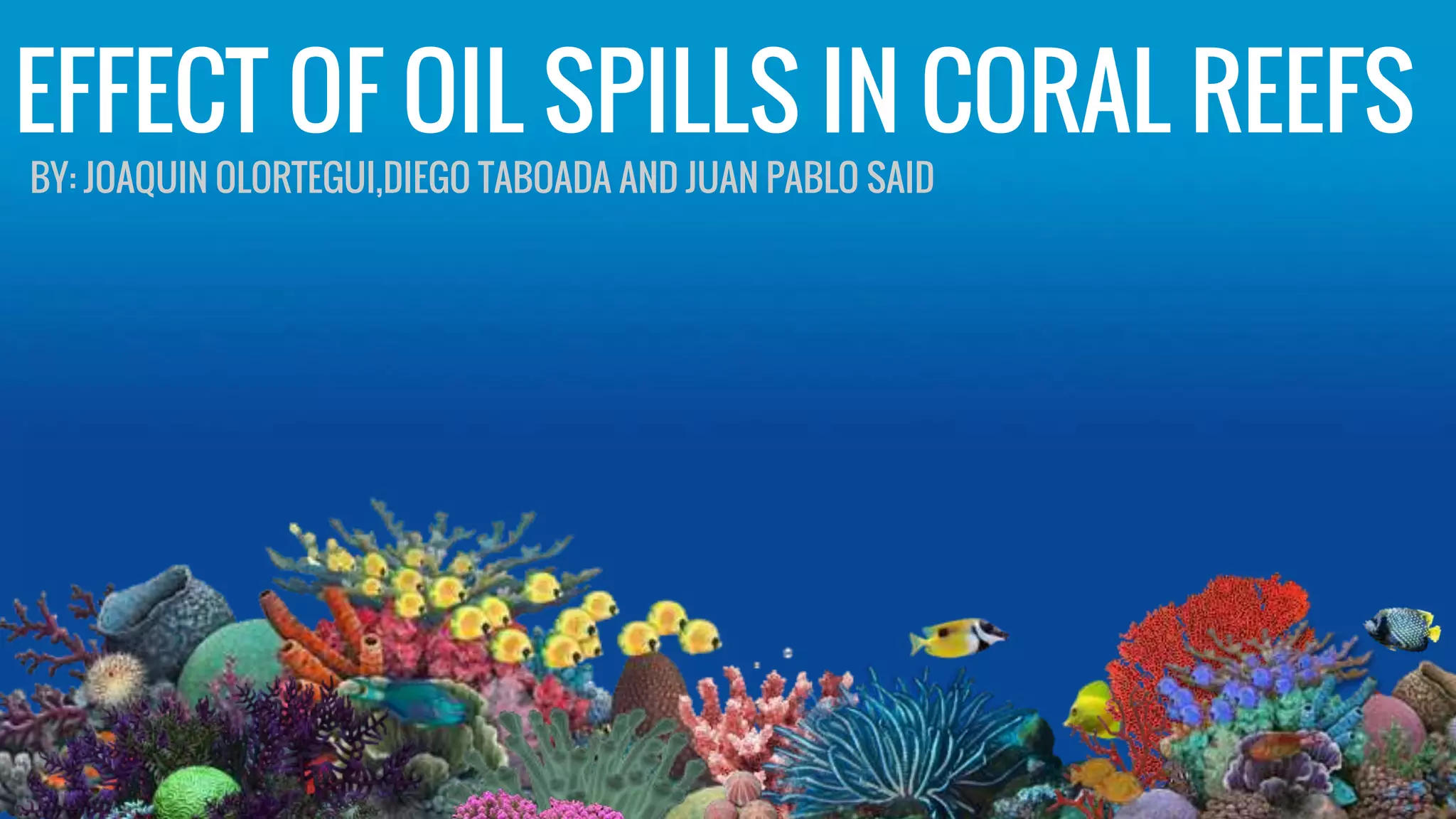 Effect of oil spills on coral reefs | PPTX