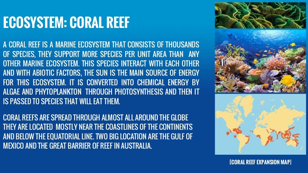 Effect of oil spills on coral reefs