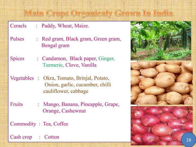 Effect of organic farming in vegetable crops | PPT