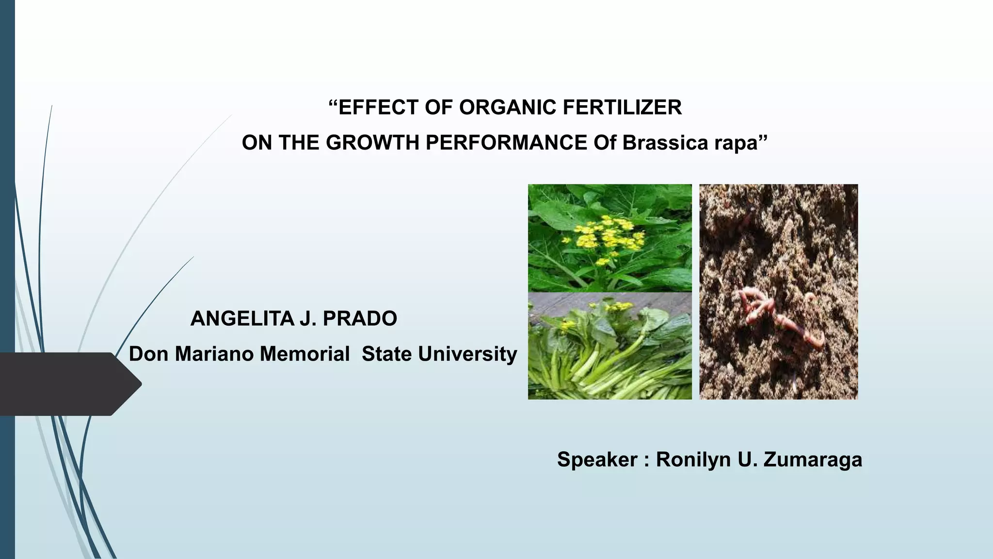 “Effect of Organic Fertilizer on the Growth Performane of Brassica rapa ...