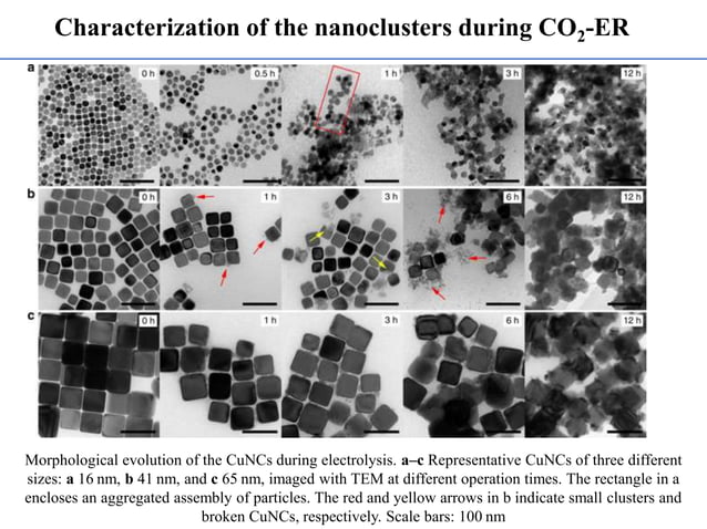Effect of particle shape and size on catalysis.pptx
