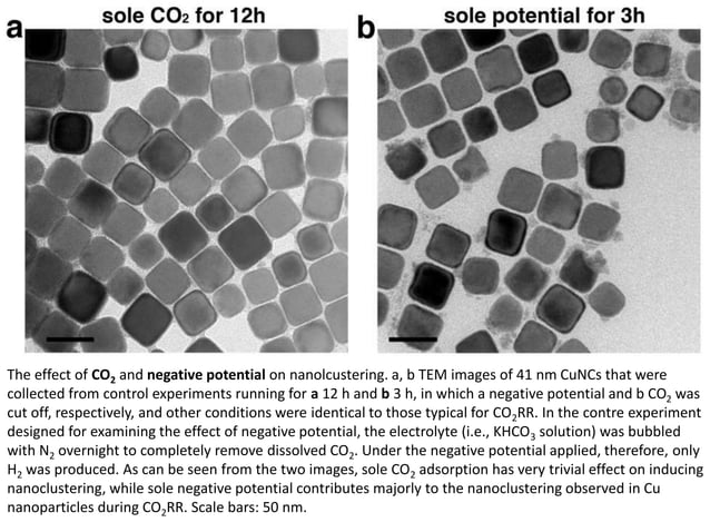 Effect of particle shape and size on catalysis.pptx
