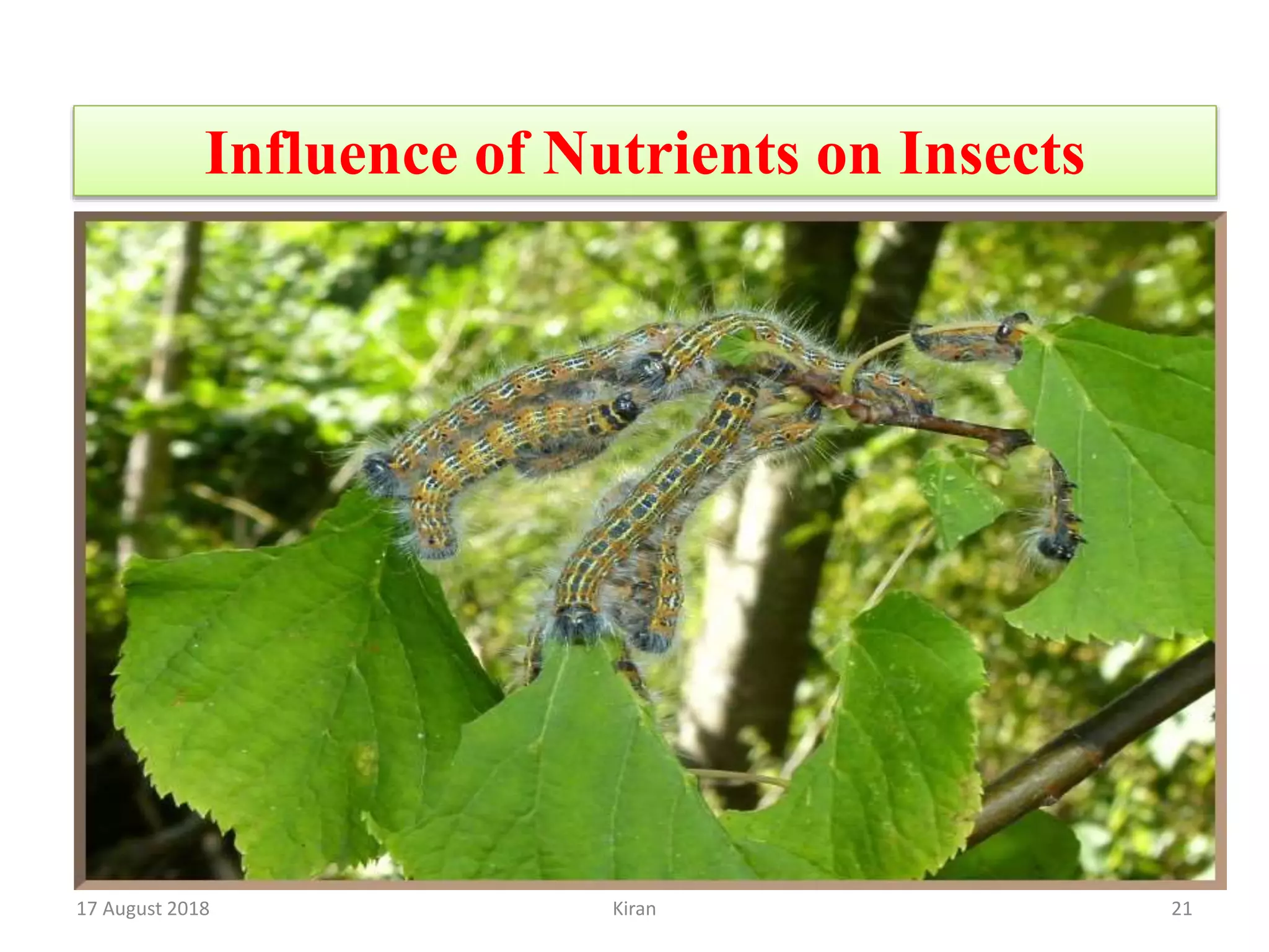 Effect of plant nutrition in insect pest management | PPTX