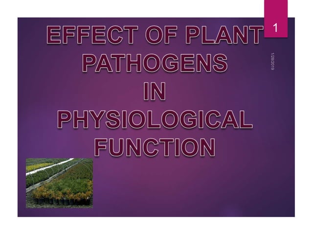 Effect of plant pathogens in plant physiologicalfunction | PPT