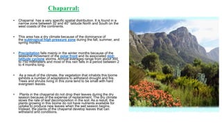 Effect of Precipatation on Distribution of Plants.pptx