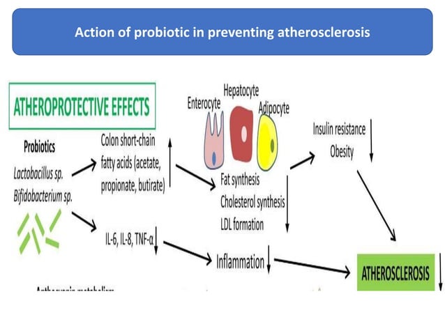 Effect of probiotics in obesity and cvd | PPTX | Heart and ...
