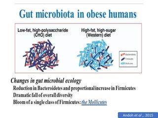 Effect of probiotics in obesity and cvd | PPTX