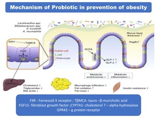 Effect of probiotics in obesity and cvd | PPTX