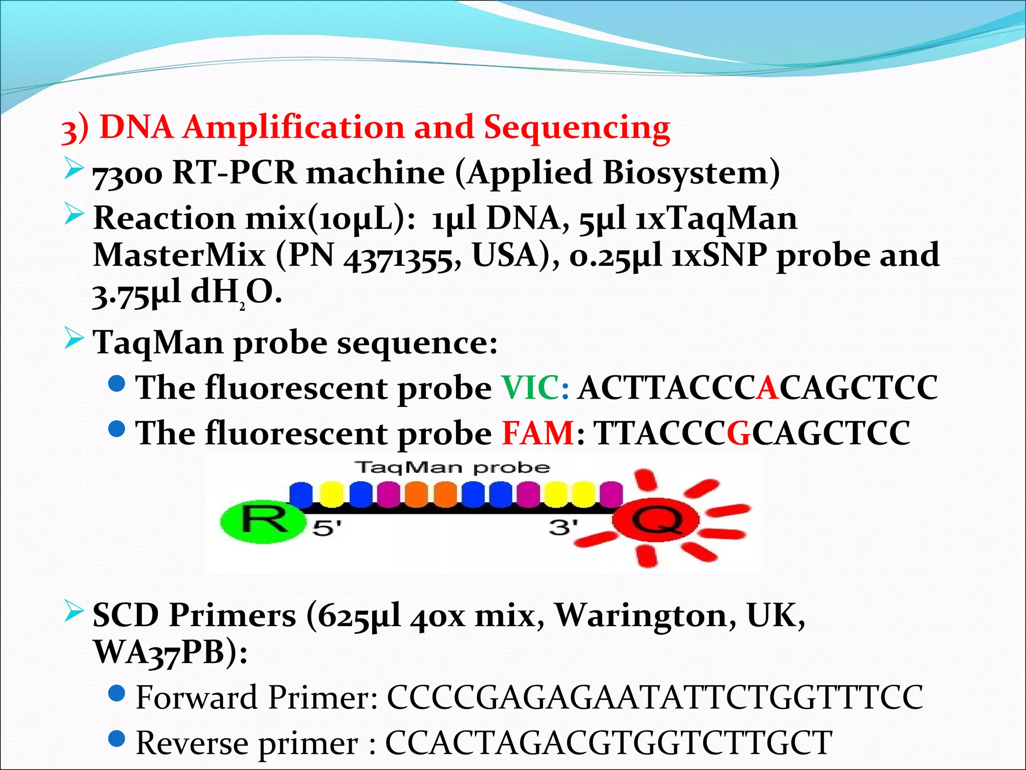 Effect of scd gene on milk production | PPT