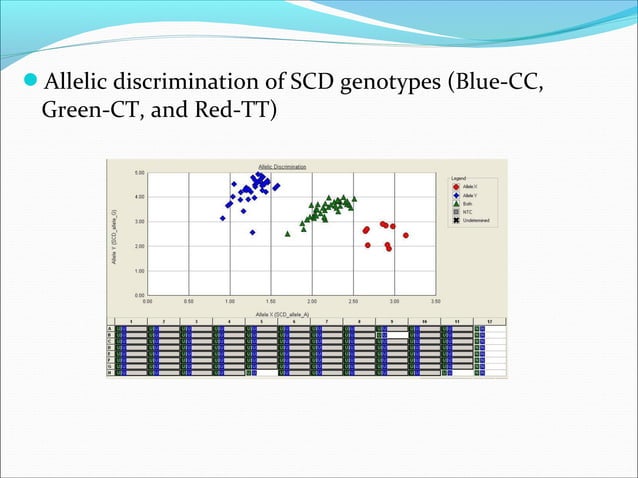 Effect of scd gene on milk production | PPT