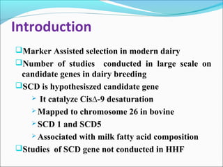 Effect of scd gene on milk production | PPT