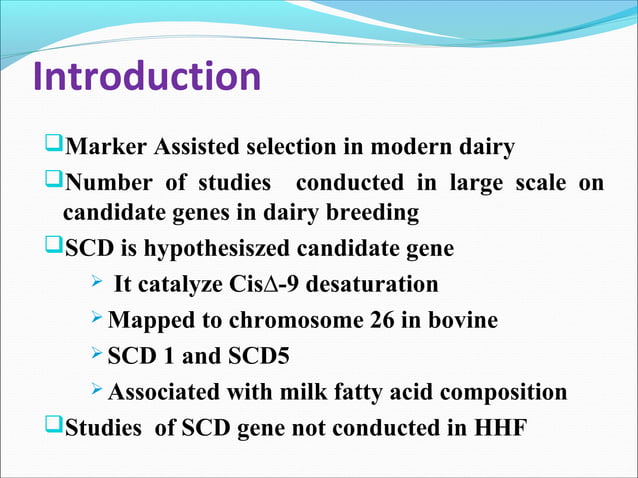 Effect of scd gene on milk production | PPT