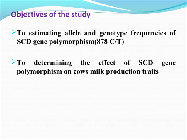 Effect of scd gene on milk production | PPT