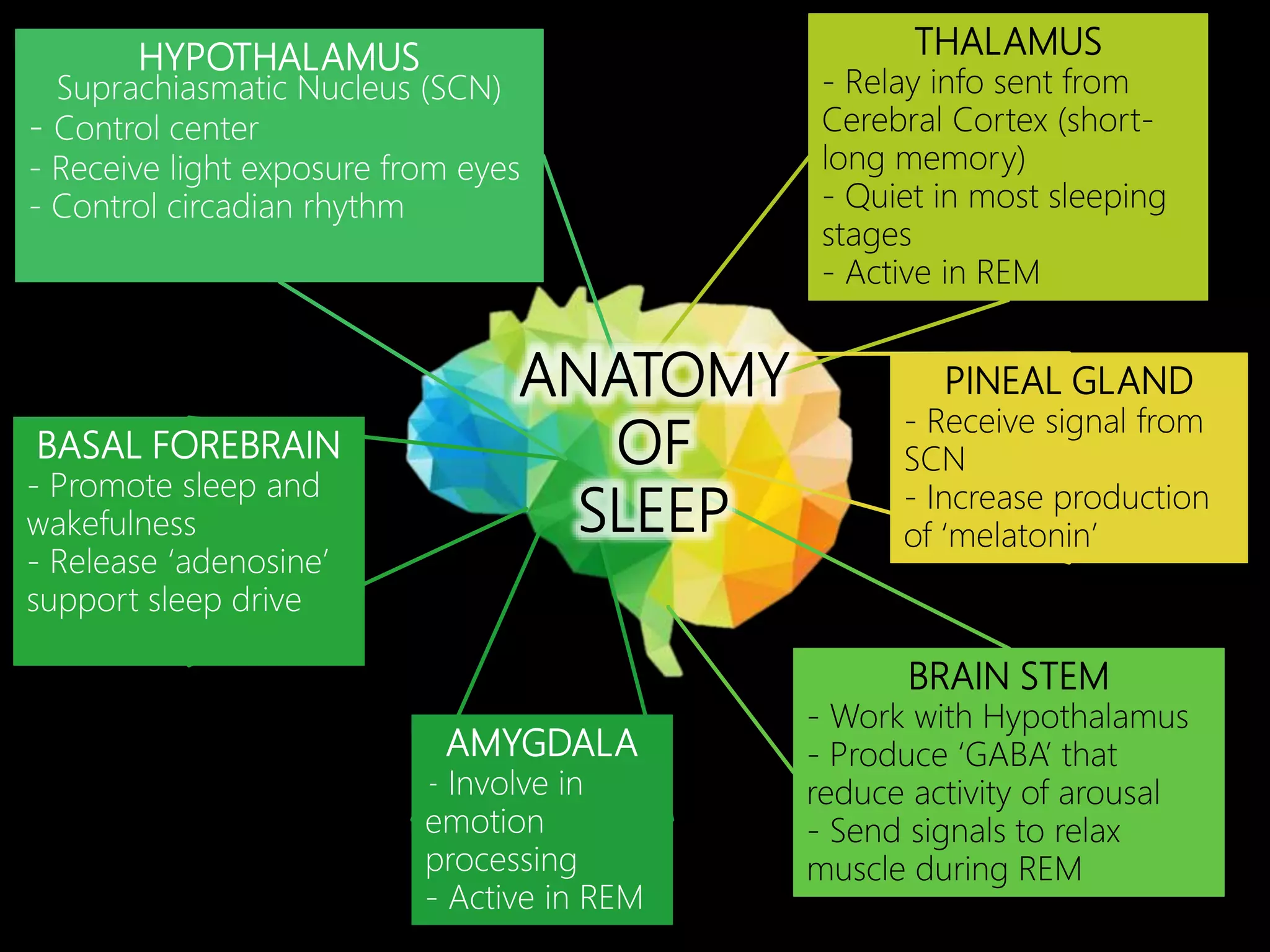 Effect of sleep deprivation on brain | PPTX