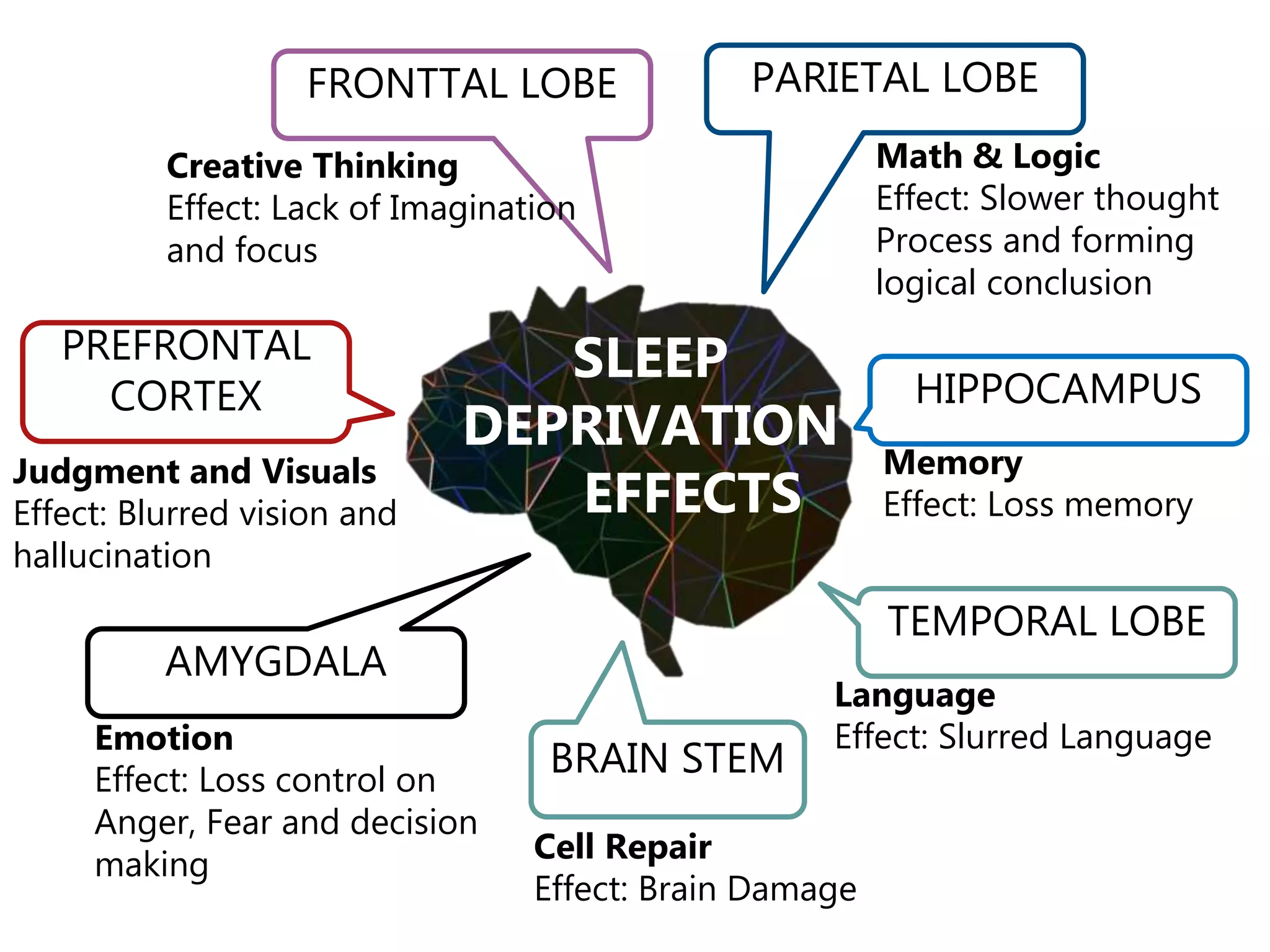 Effect of sleep deprivation on brain | PPTX