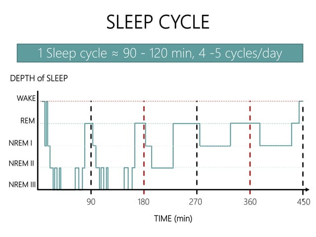 Effect of sleep deprivation on brain | PPT