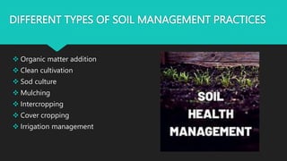 EFFECT OF SOIL MANAGEMENT PRACTICES ON SOIL ENVIROMENT.pptx