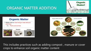 EFFECT OF SOIL MANAGEMENT PRACTICES ON SOIL ENVIROMENT.pptx
