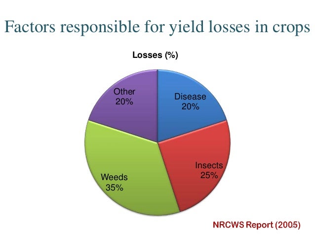 Effect Of Sowing Methods And Weed Management Practices On Wheat