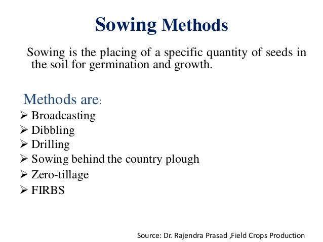 Effect Of Sowing Methods And Weed Management Practices On Wheat