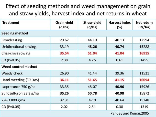 Effect Of Sowing Methods And Weed Management Practices On Wheat