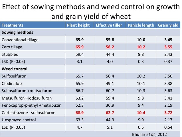 Effect Of Sowing Methods And Weed Management Practices On Wheat