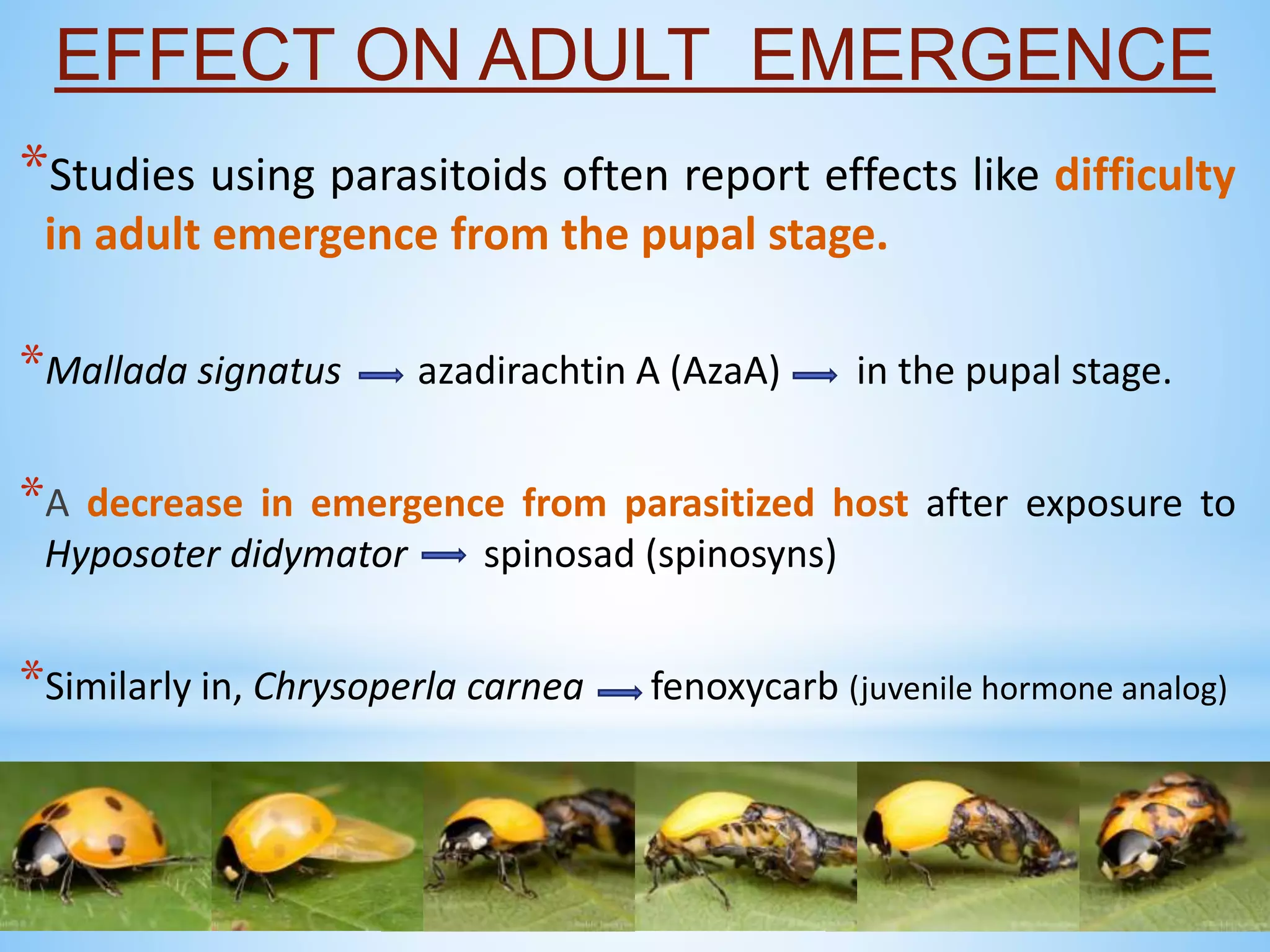 Effect of sub lethal doses of insecticides on natural enemies of crop ...