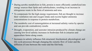Effect of Temperature and salinity change in metabolic.pptx