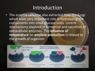 Effect of temperature on amylase production | PPTX