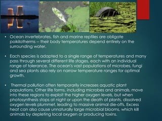 Effect of thermal pollution on marine life | PPTX