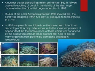 Effects Of Thermal Pollution On Aquatic Life