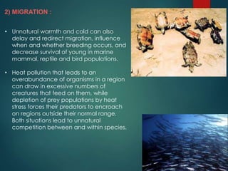 Effects Of Thermal Pollution On Aquatic Life
