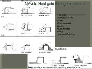 Passive Cooling Effects of Trees and Plants on Buildings | PPTX