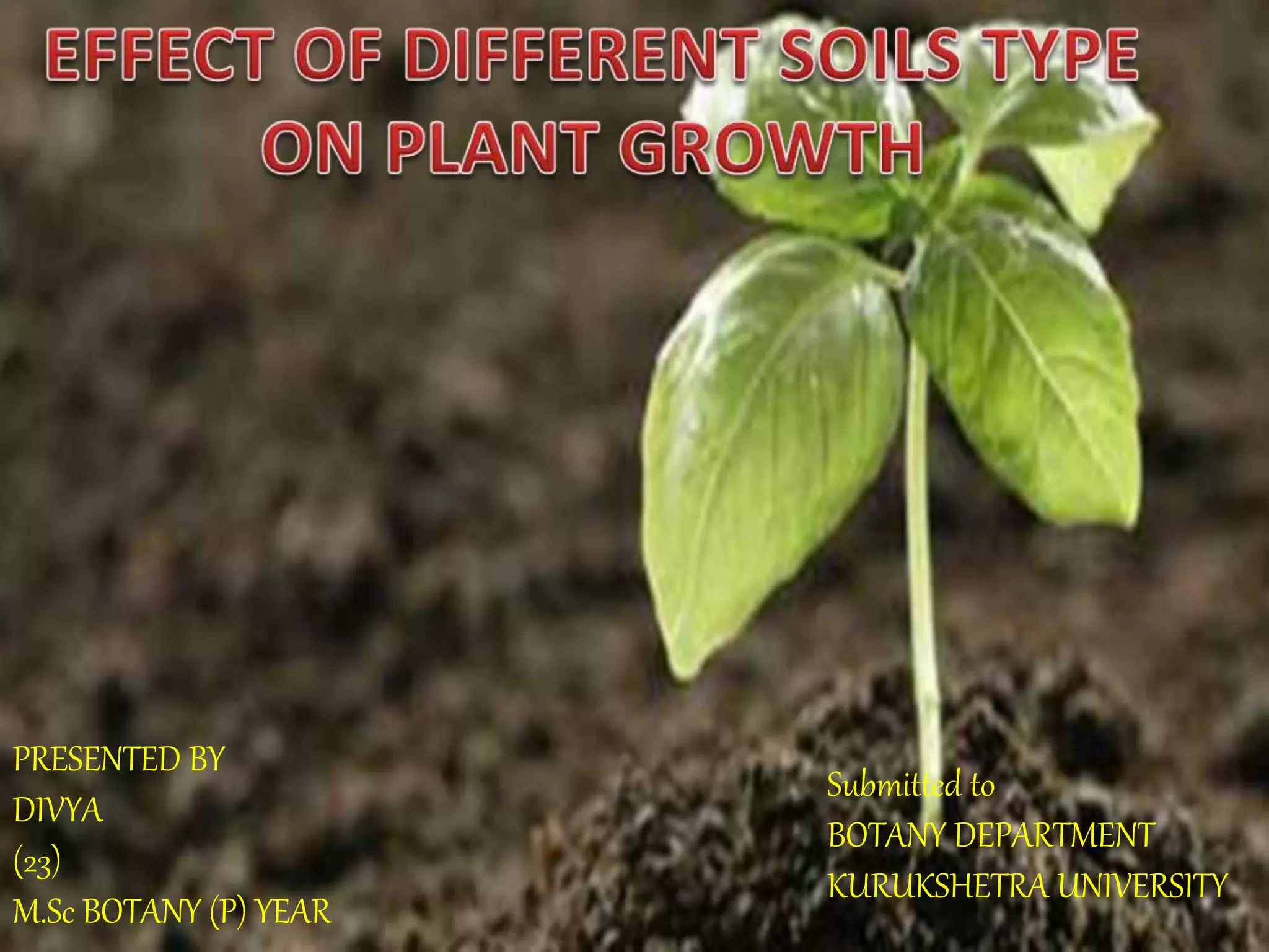 Effect of two soil types on plant growth | PPTX