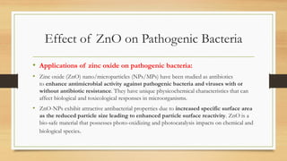 Effect of ZnO on Pathogenic Bacteria PRESENTATION.pdf