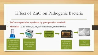Effect of ZnO on Pathogenic Bacteria PRESENTATION.pdf