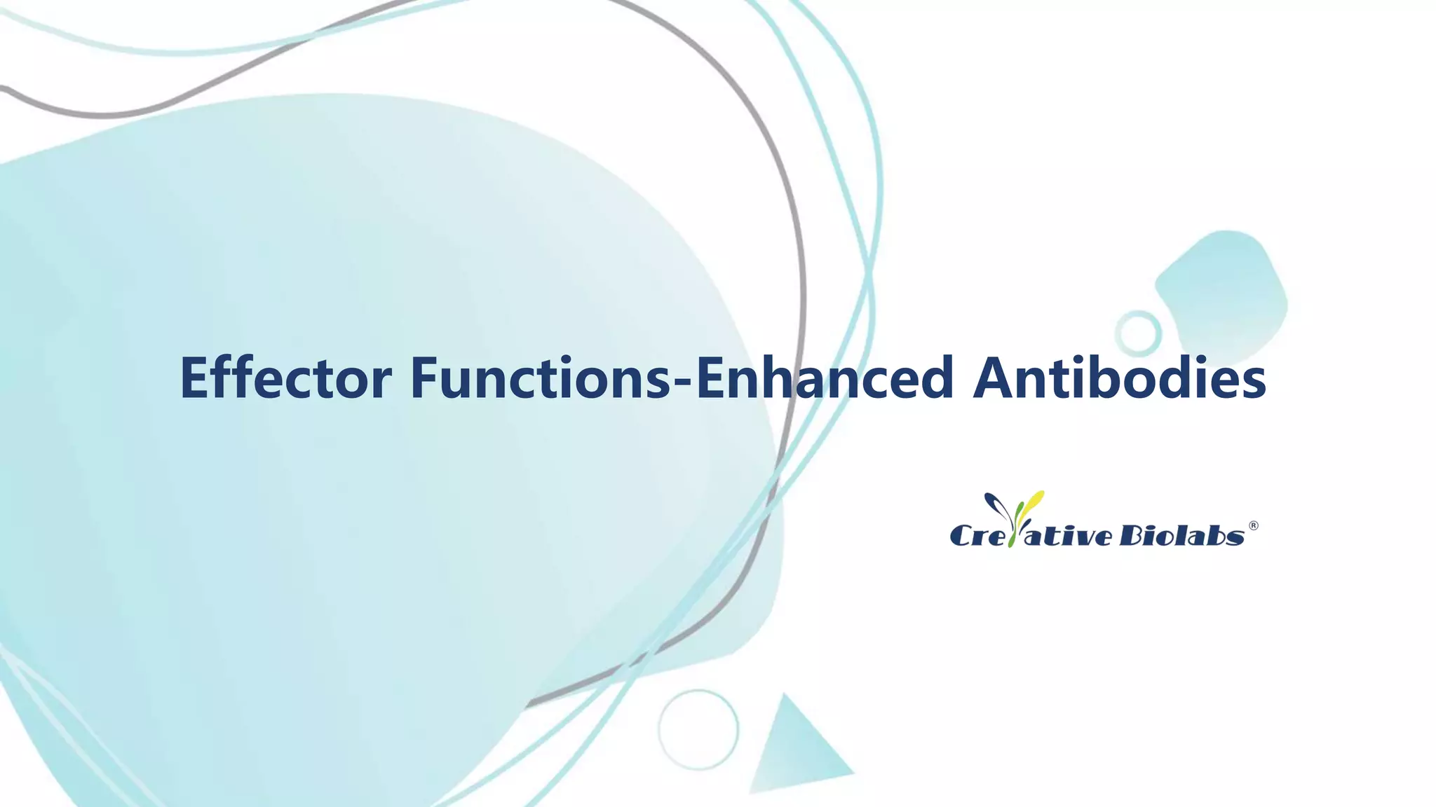 Effector Functions-enhanced Antibodies - Creative Biolabs | PPTX