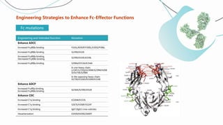 Effector Functions-enhanced Antibodies - Creative Biolabs | PPTX