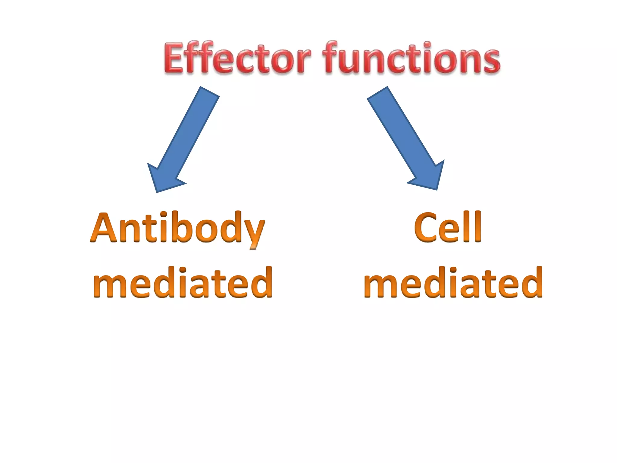 Effector functions of immune system | PPTX