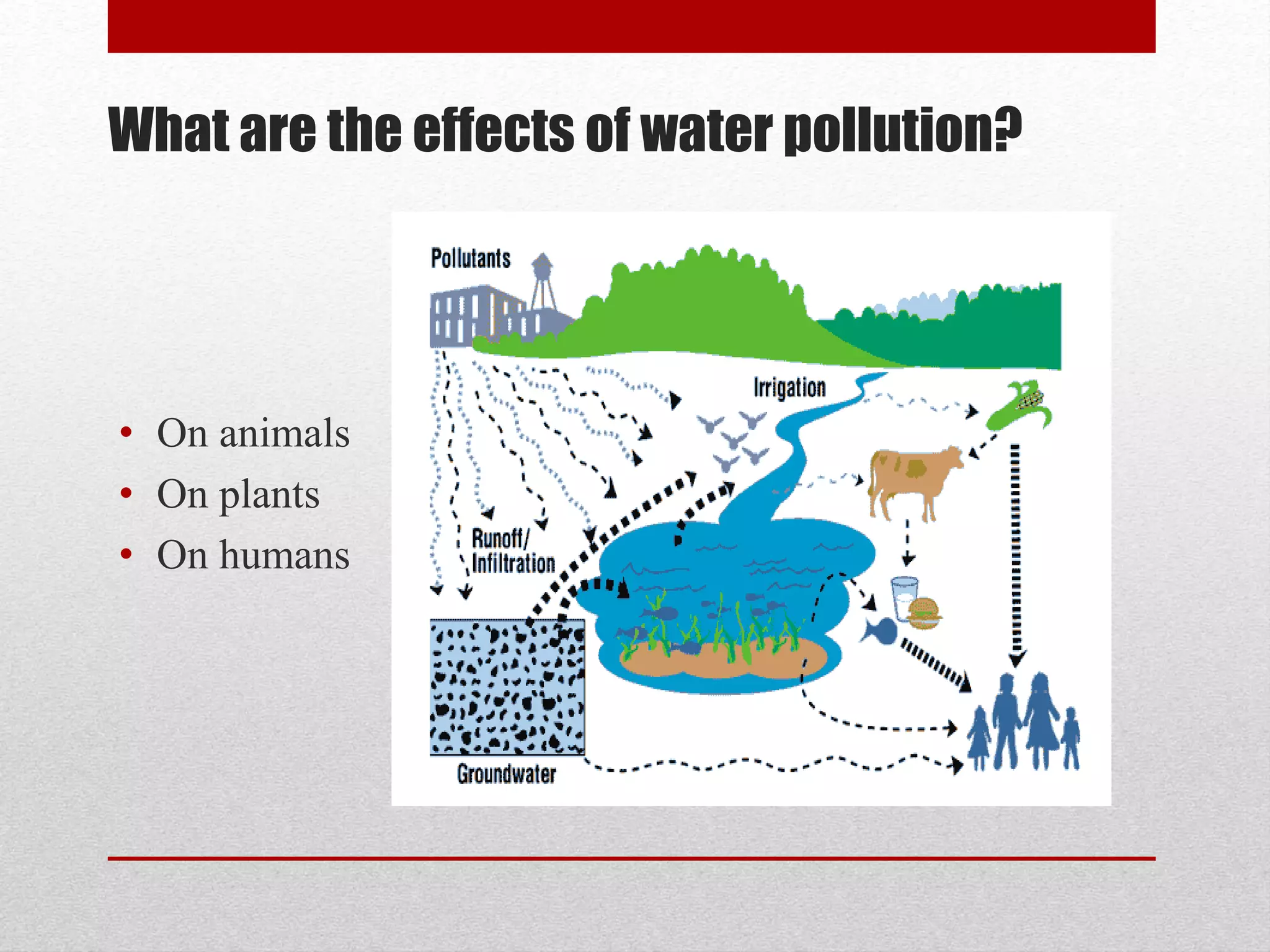 Effects of Water Pollution | PPTX