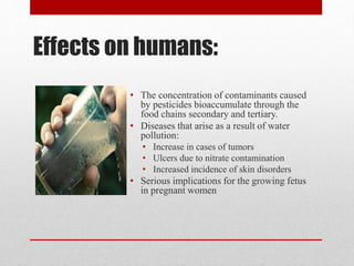 Effects of Water Pollution | PPTX