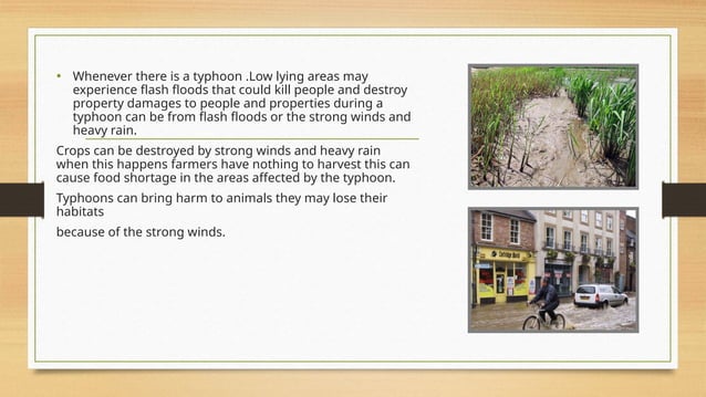 Effects-of-weather-disturbances for Grade 5 learners.pptx
