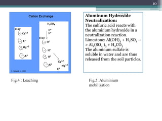 EFFECTS OF ACID RAIN.pptx