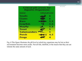 EFFECTS OF ACID RAIN.pptx